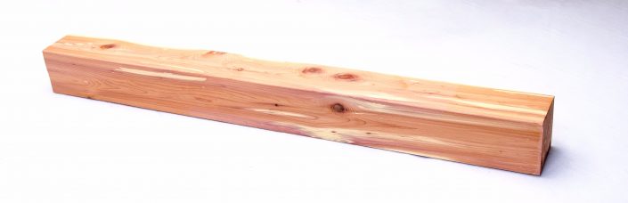 Black Locust Posts